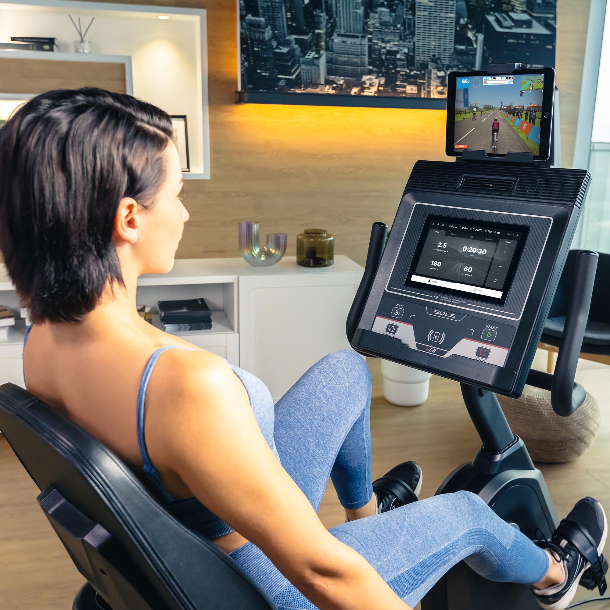 Sole Fitness LCR Recumbent Exercise Bike